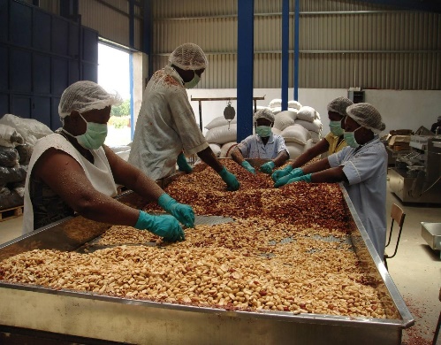 Food Factory – ShareAfrica Zambia